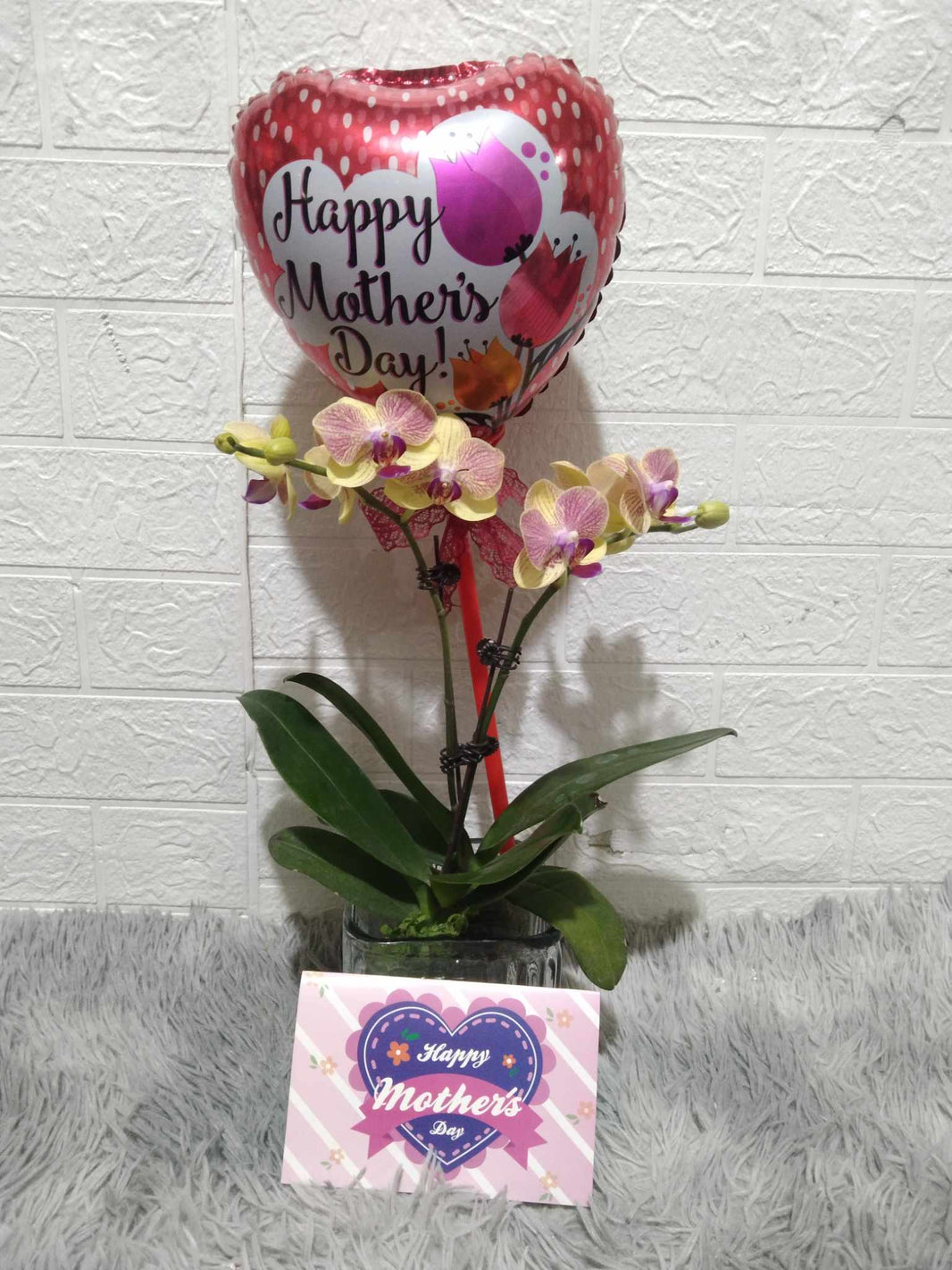 Plants – Page 2 – Online Flower Express